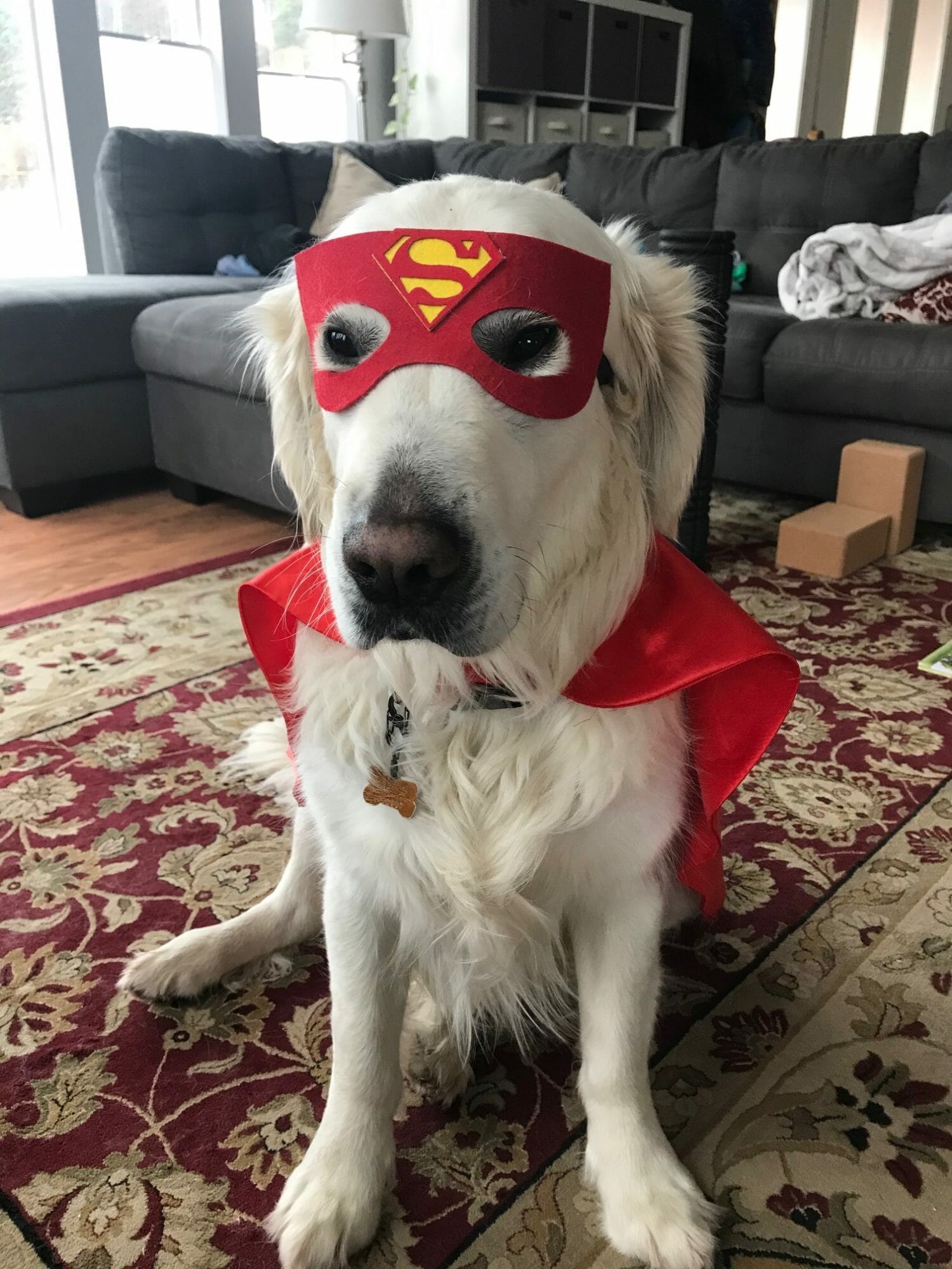 Jeff hero | Heather Lende