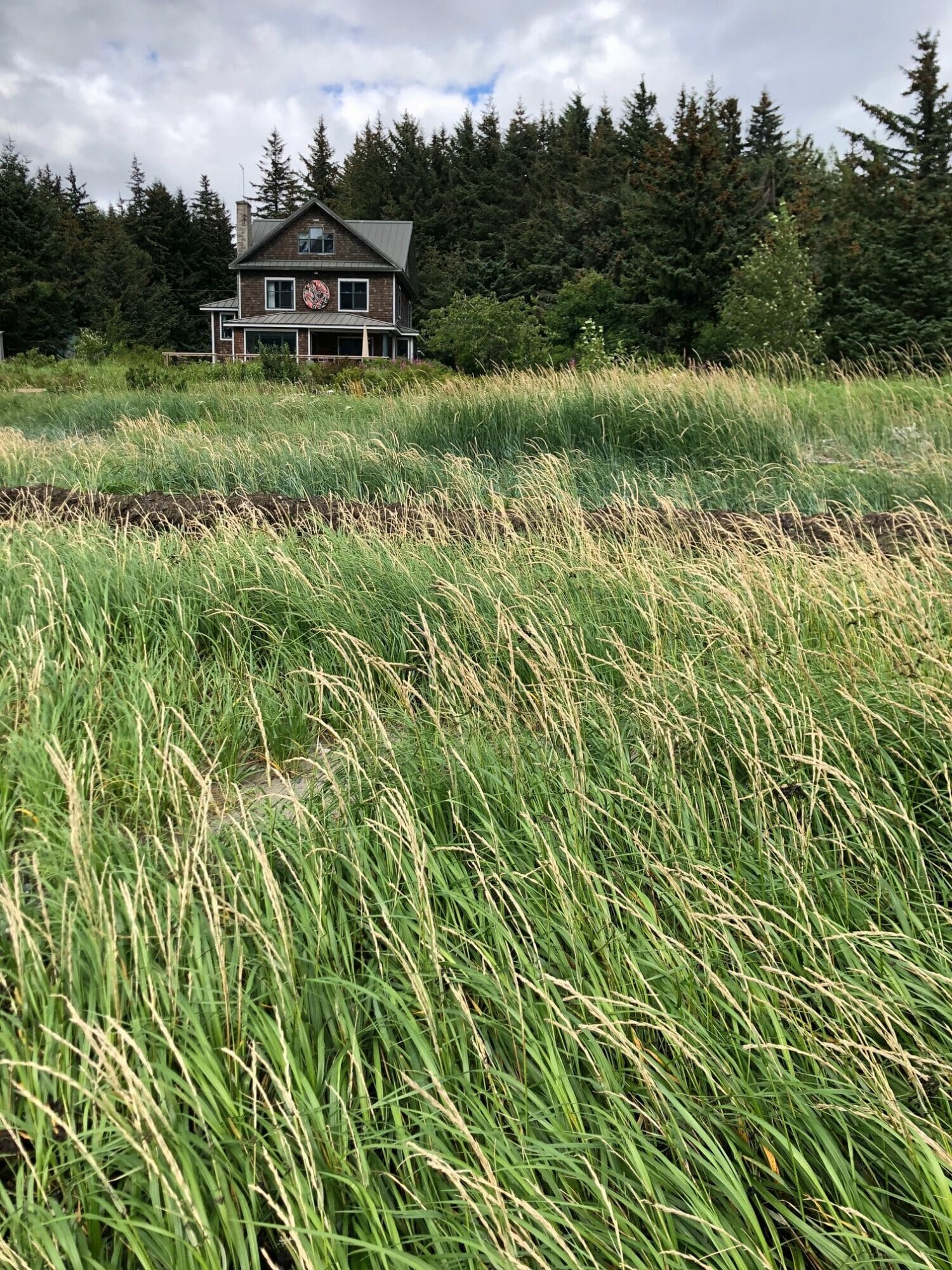 Beach grass house | Heather Lende