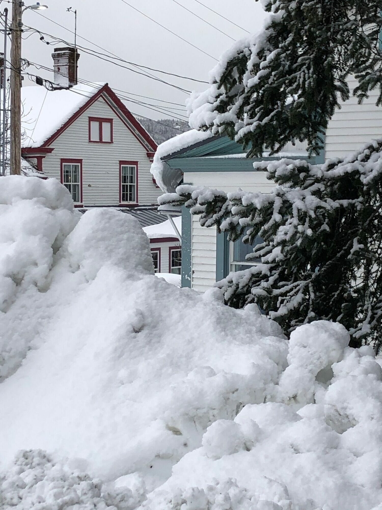 soap suds snow | Heather Lende