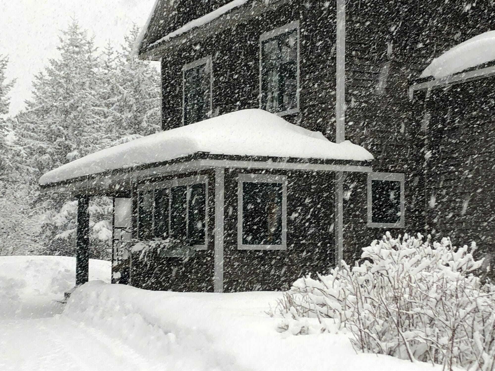 Home snow | Heather Lende