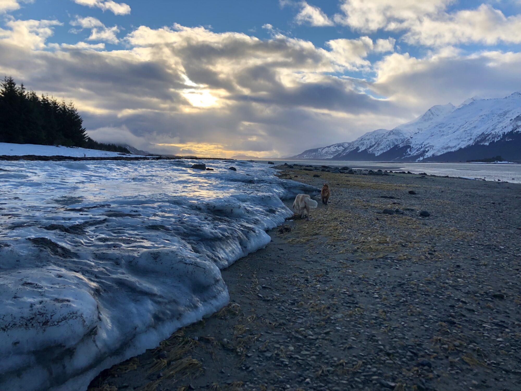 Sunday’s Thought | Heather Lende