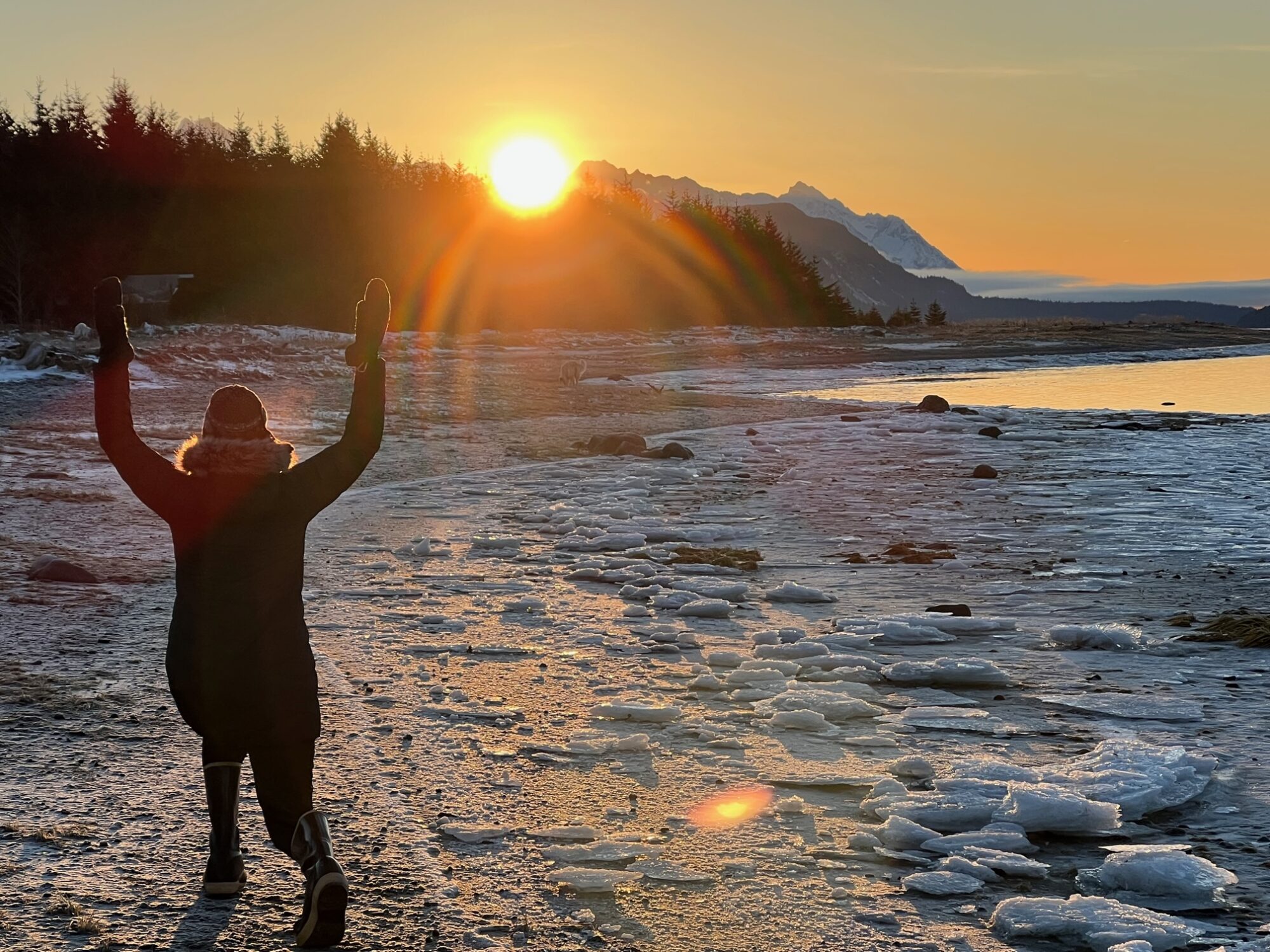 Sun salute | Heather Lende