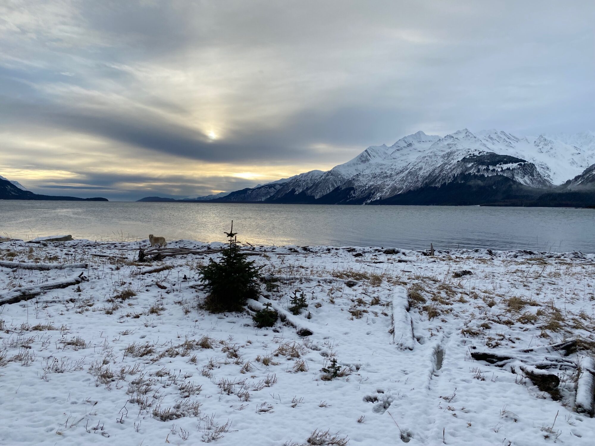 On the 12th Day of Christmas | Heather Lende