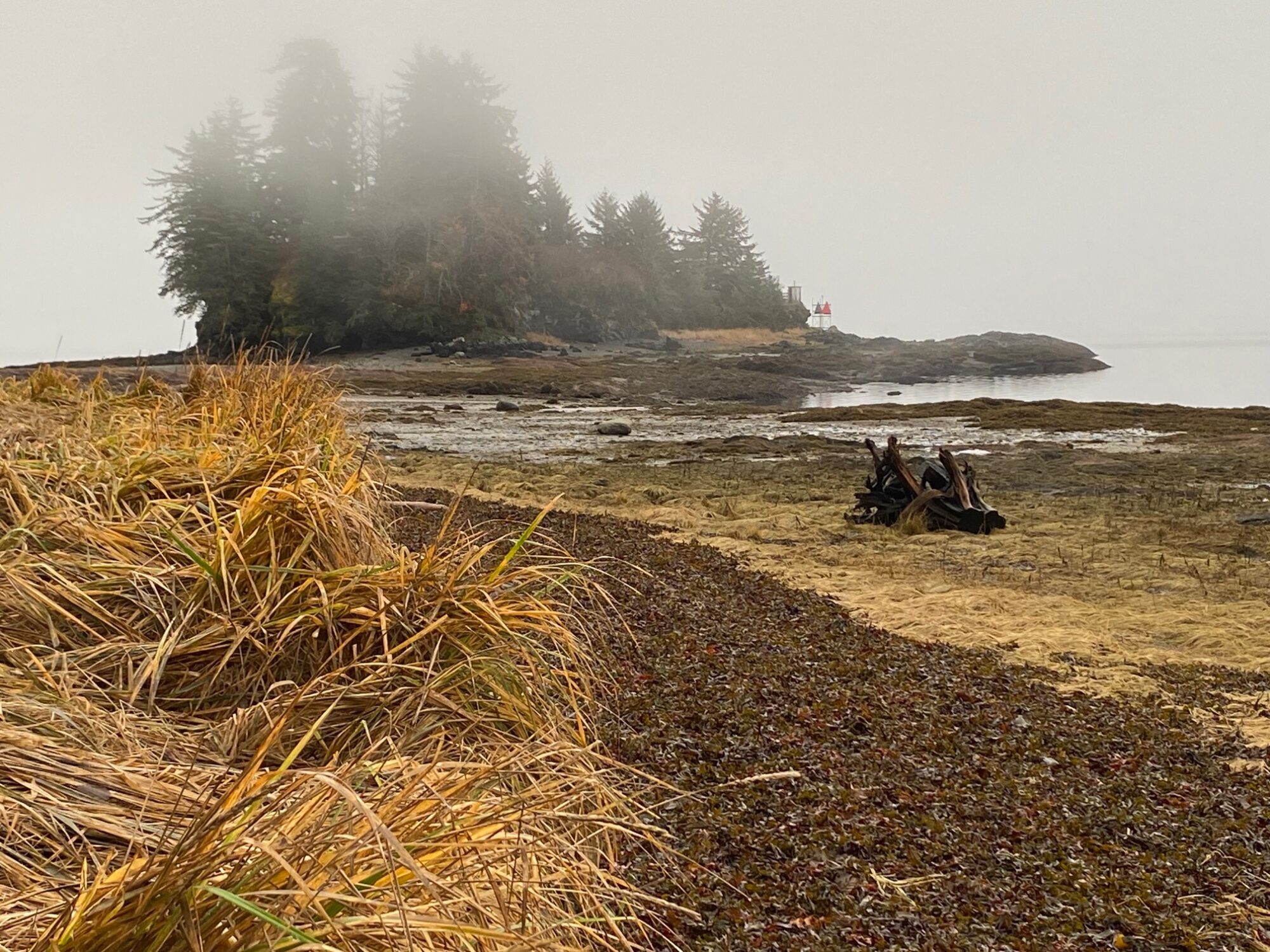 Nov. 17 Tenakee Inlet Fog | Heather Lende